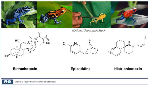 The Beautiful Color of Poison Dart Frogs - Chemistry Steps