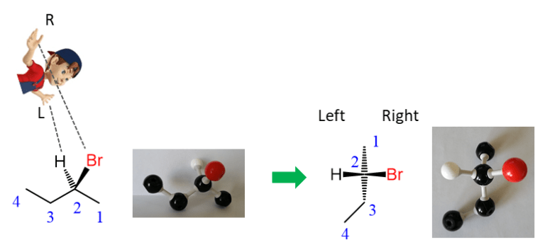 Fischer Projections