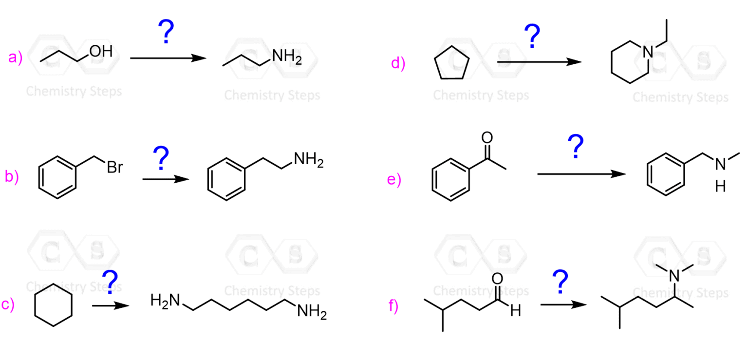 Reactions of Amines Practice Problems - Chemistry Steps