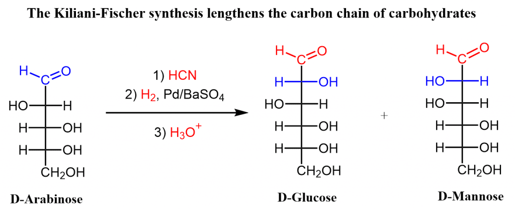 Kiliani–Fischer Synthesis - Chemistry Steps