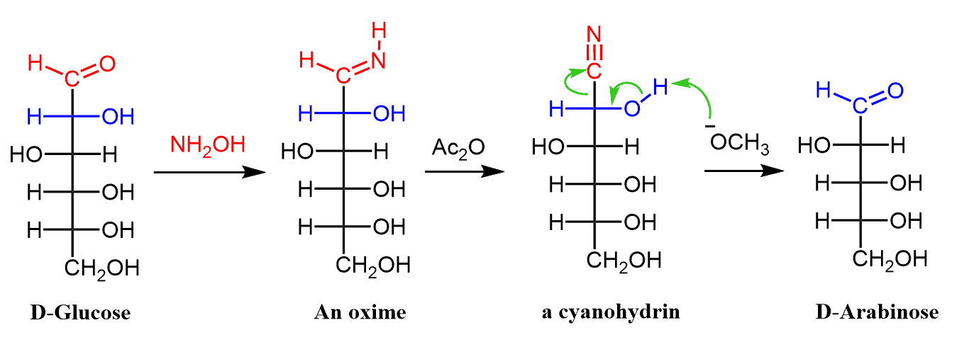 Wohl Degradation - Chemistry Steps
