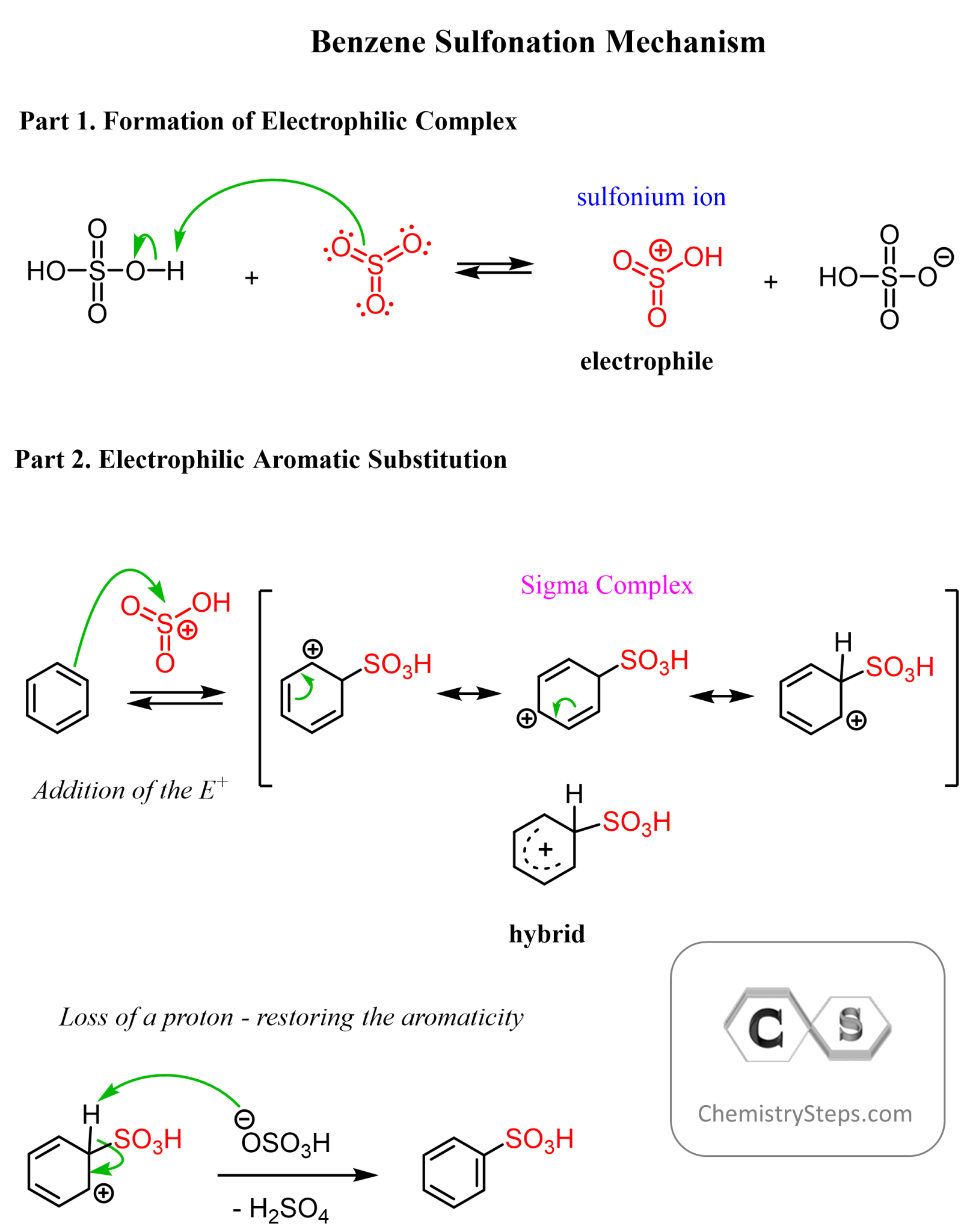 Sulfonation of Benzene - Chemistry Steps