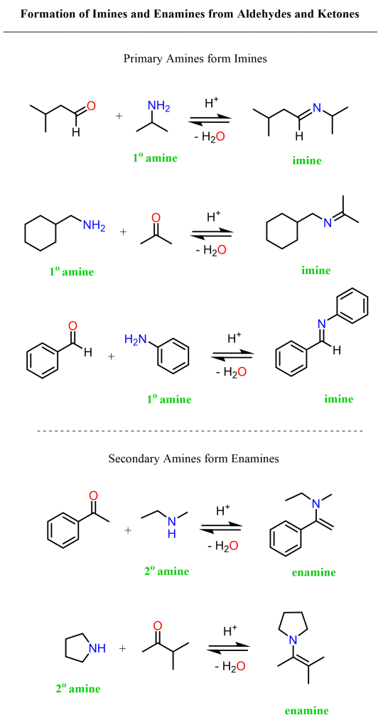 Amines Archives - Chemistry Steps