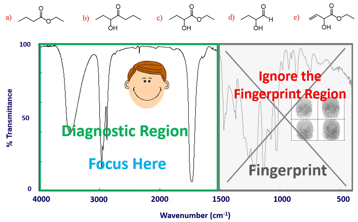 Interpreting IR Spectra